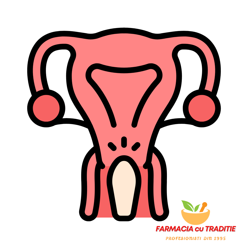 OVULE TRATAMENT cu Metronidazol, Clotrimazol - 10 ovule,preparat in ...